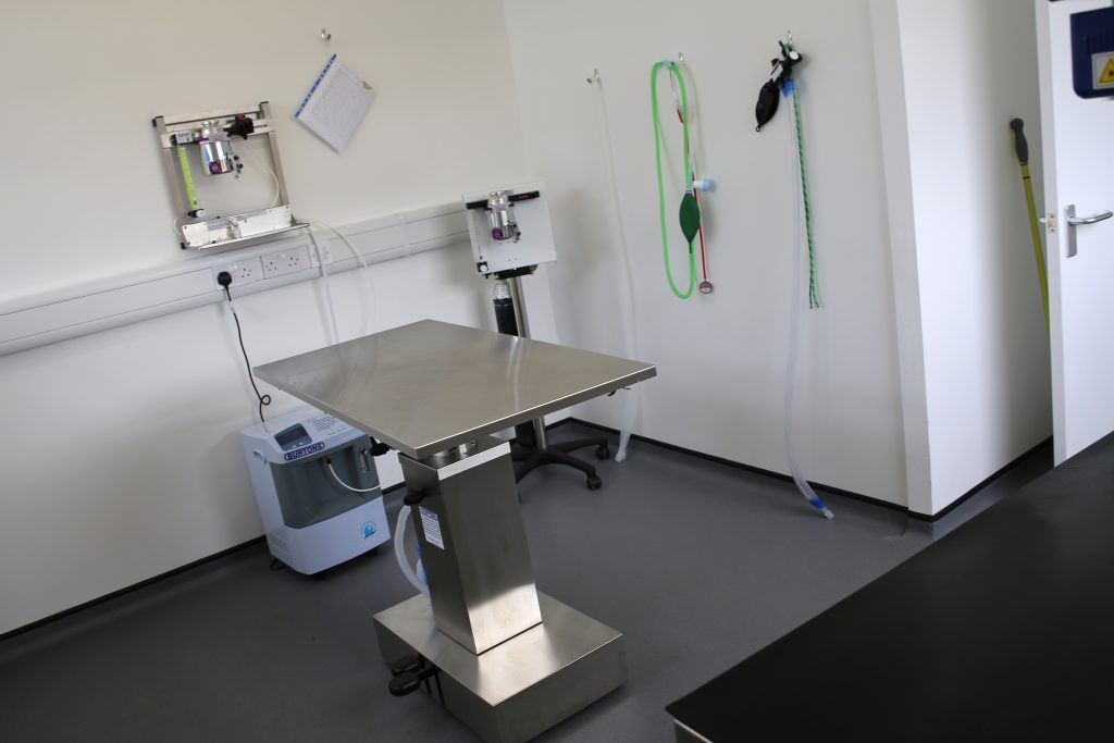 Surgical Facilities – Priory Veterinary Practice
